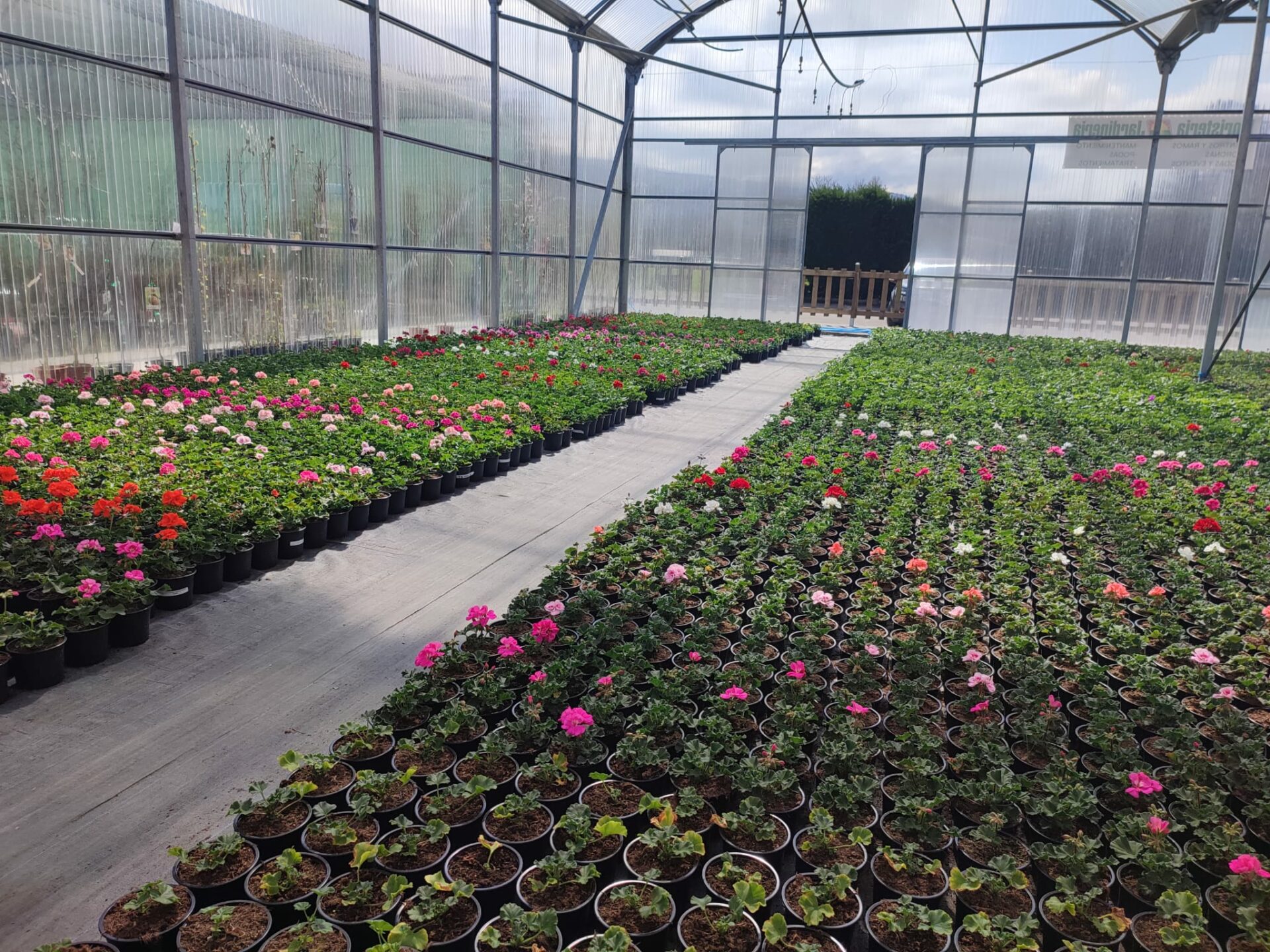 Blog - Viveros La Llosa